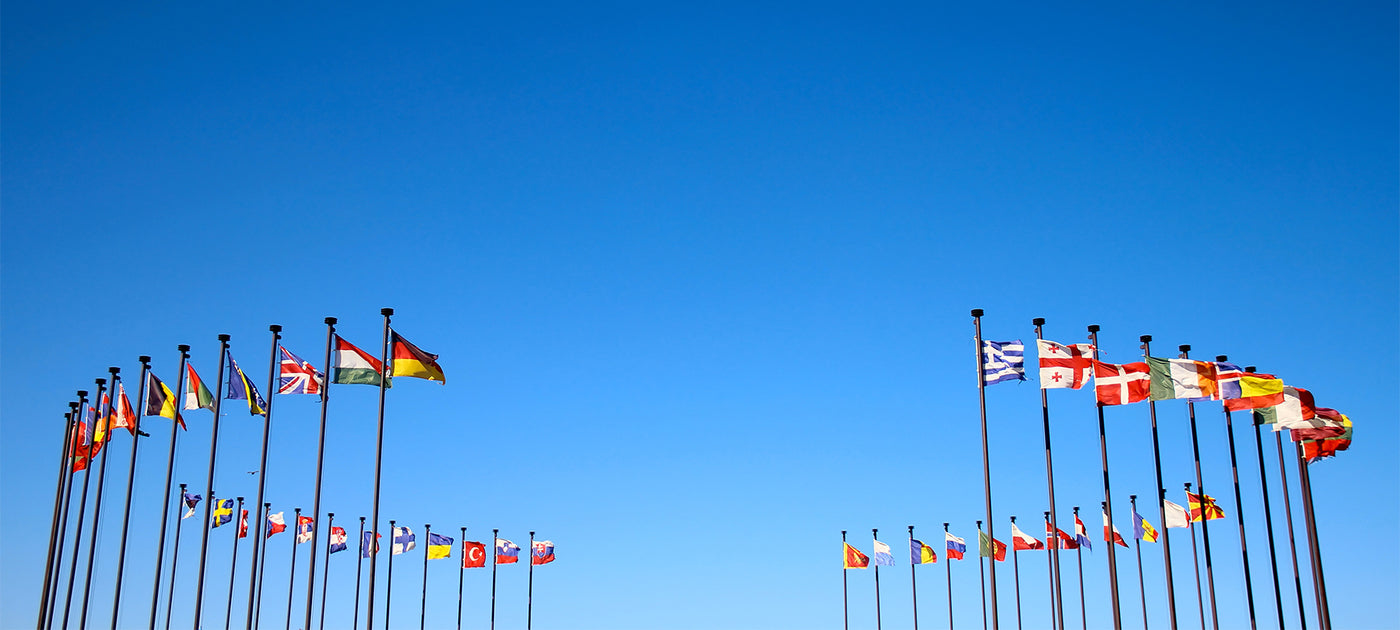 Kronberg's Flags and Flagpoles | Hardware, custom banners, & more